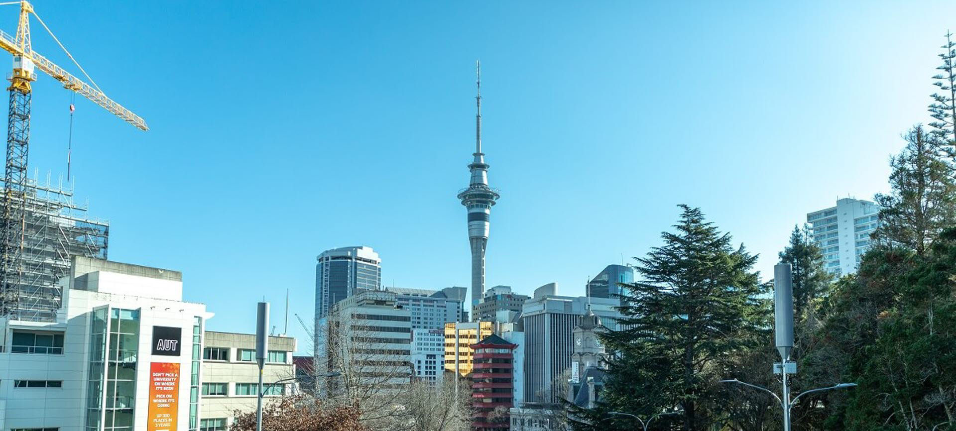 New Zealand Awards 2025