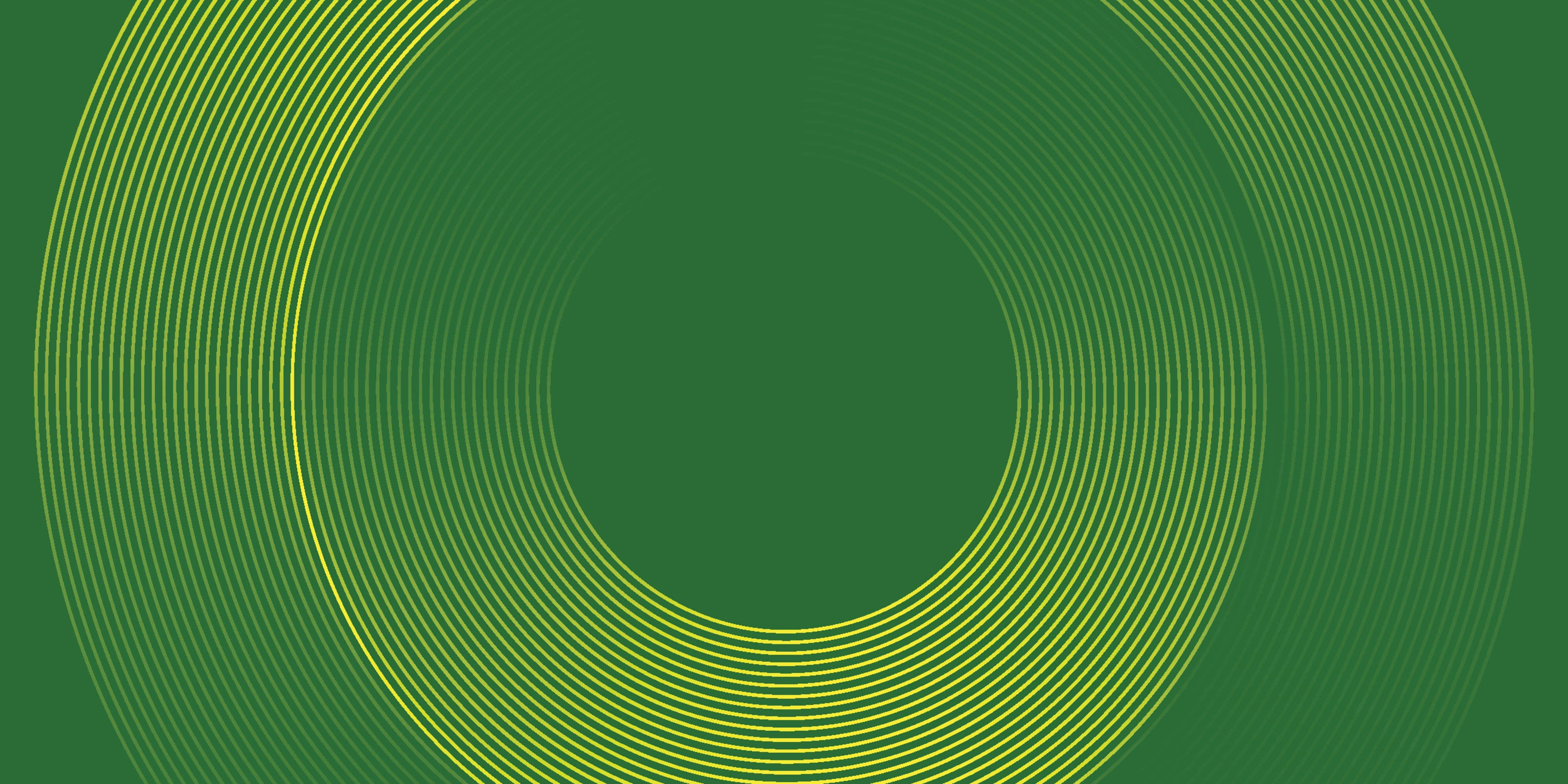 Driving Sustainability: Exploring Green IT Policies and their Impact