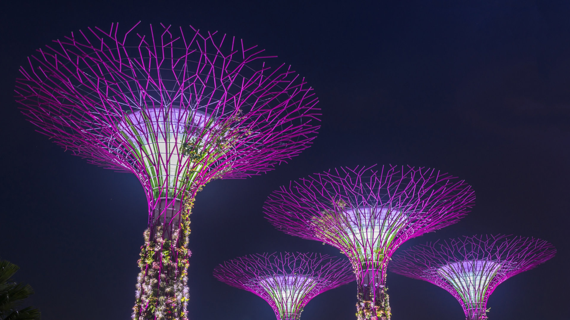 Certificate in Construction Project Management