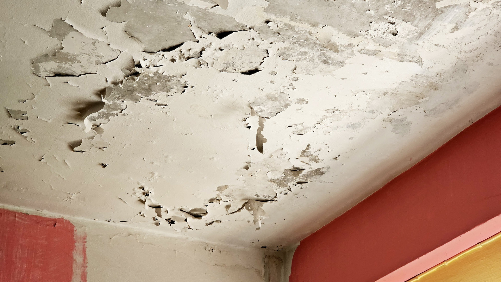 Certificate in Construction Project Management