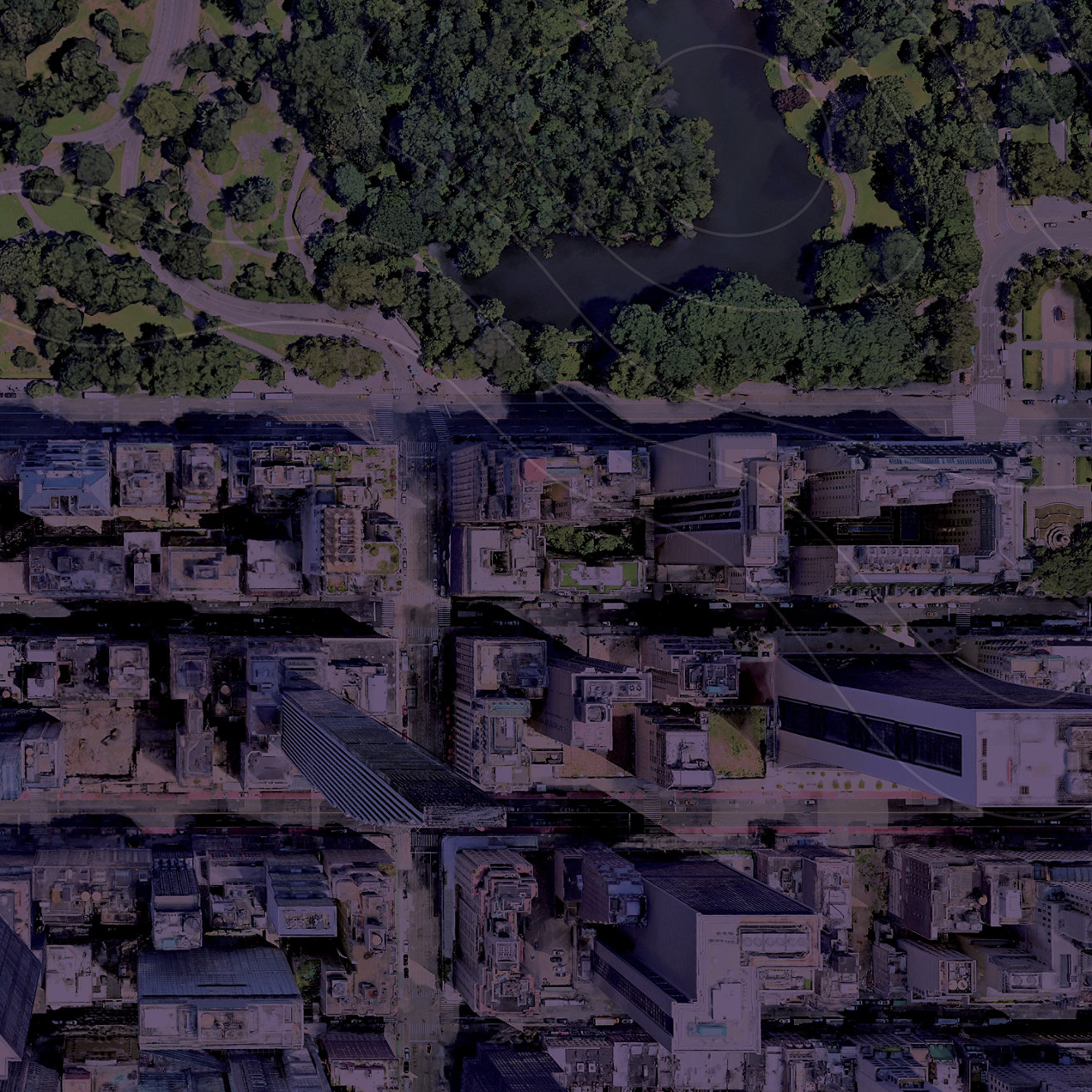 Global Quarterly Performance Reports