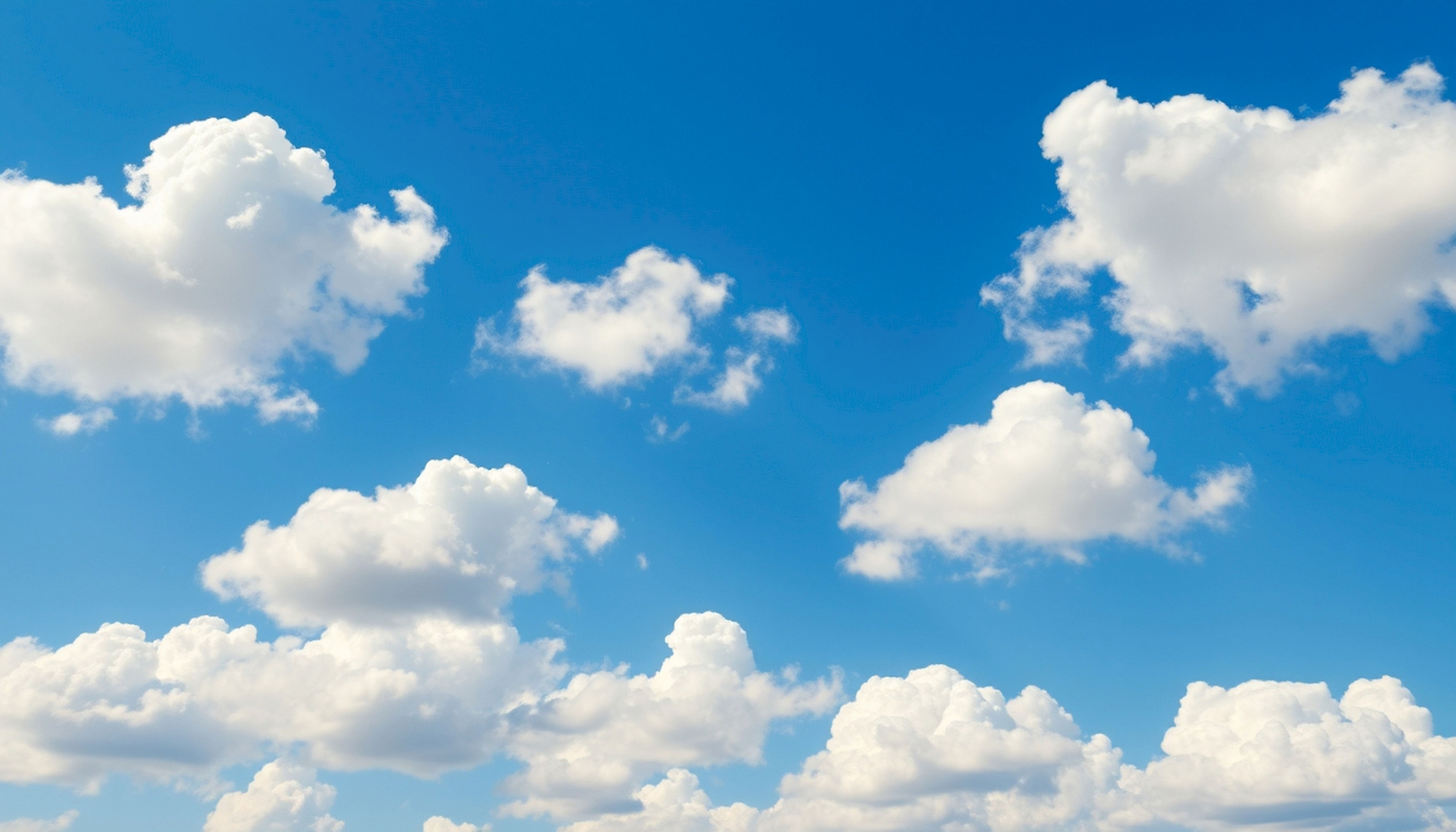 Online Expert Determination Training