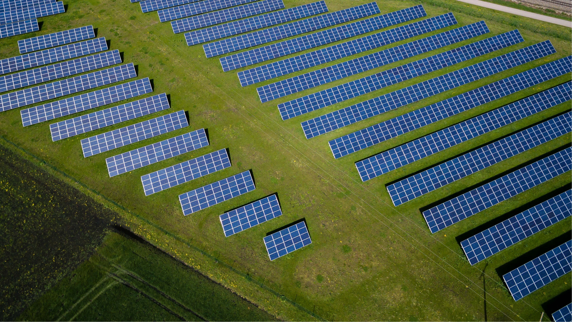 The UN Sustainable Development Goals