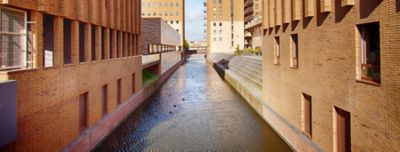 Brexit position statements